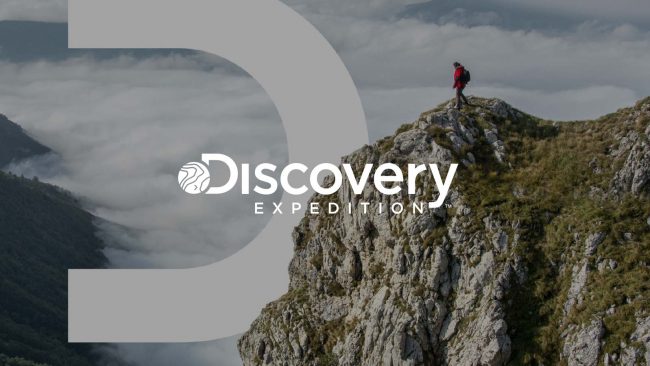 Discovery | IPR Licensing